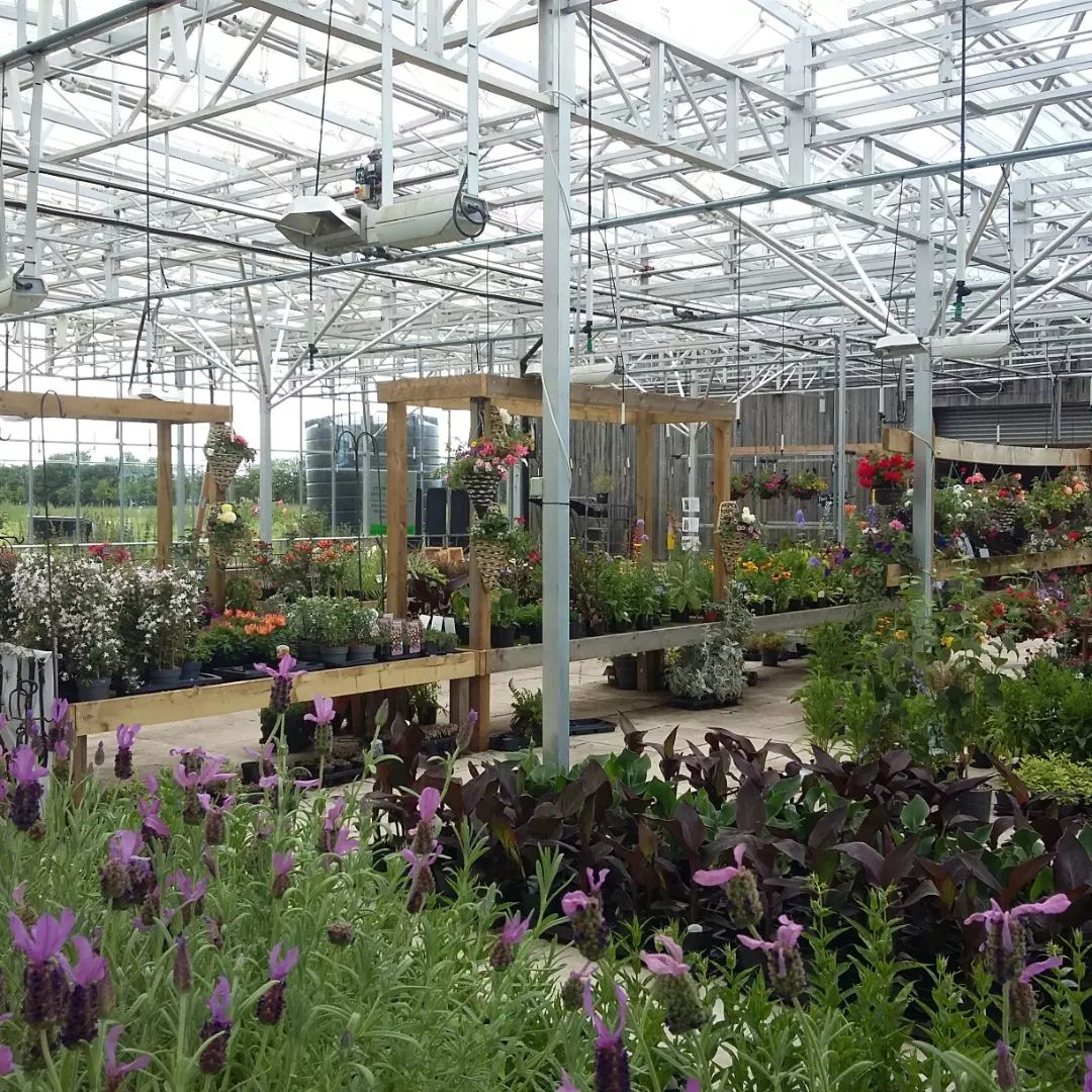 Contact – Stoneybrook Nursery